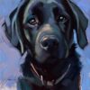 Black Labrador Retriever Art Print | Jen Brandon Studio