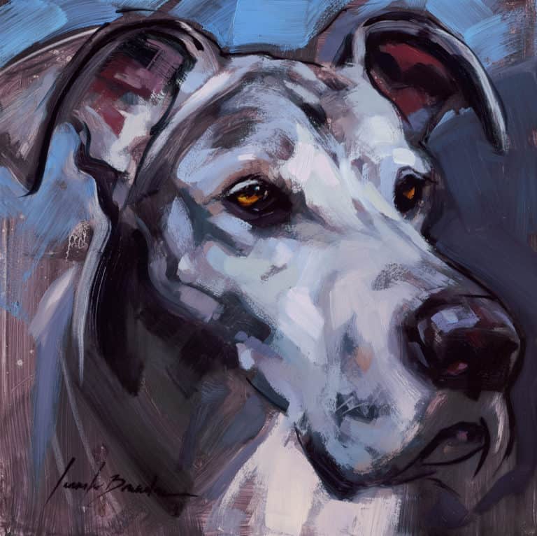 Merle Great Dane Art Print | Jen Brandon Studio